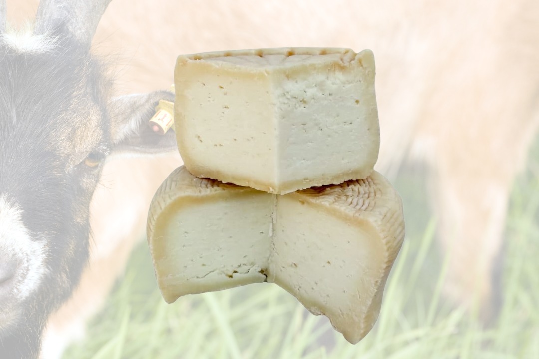 Formaggio caprino tradizionale dal gusto eccellente - Milk Coop